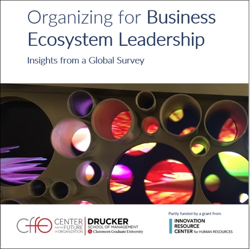 Center for the Future of Organization